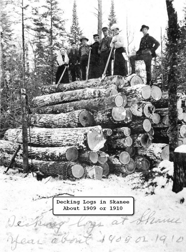 Gallery Logging and Farming – Arvon Township