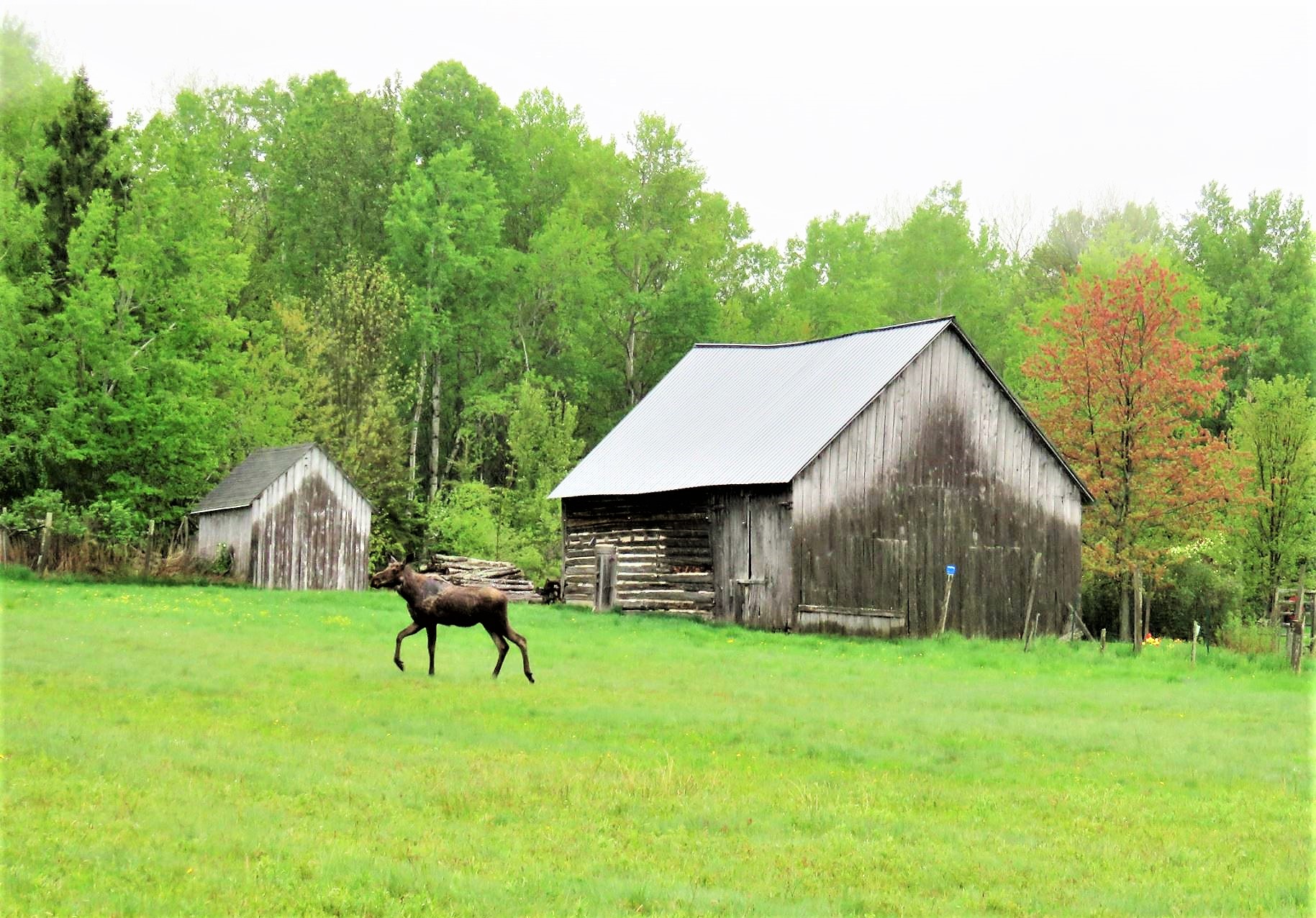 Community Calendar – Arvon Township